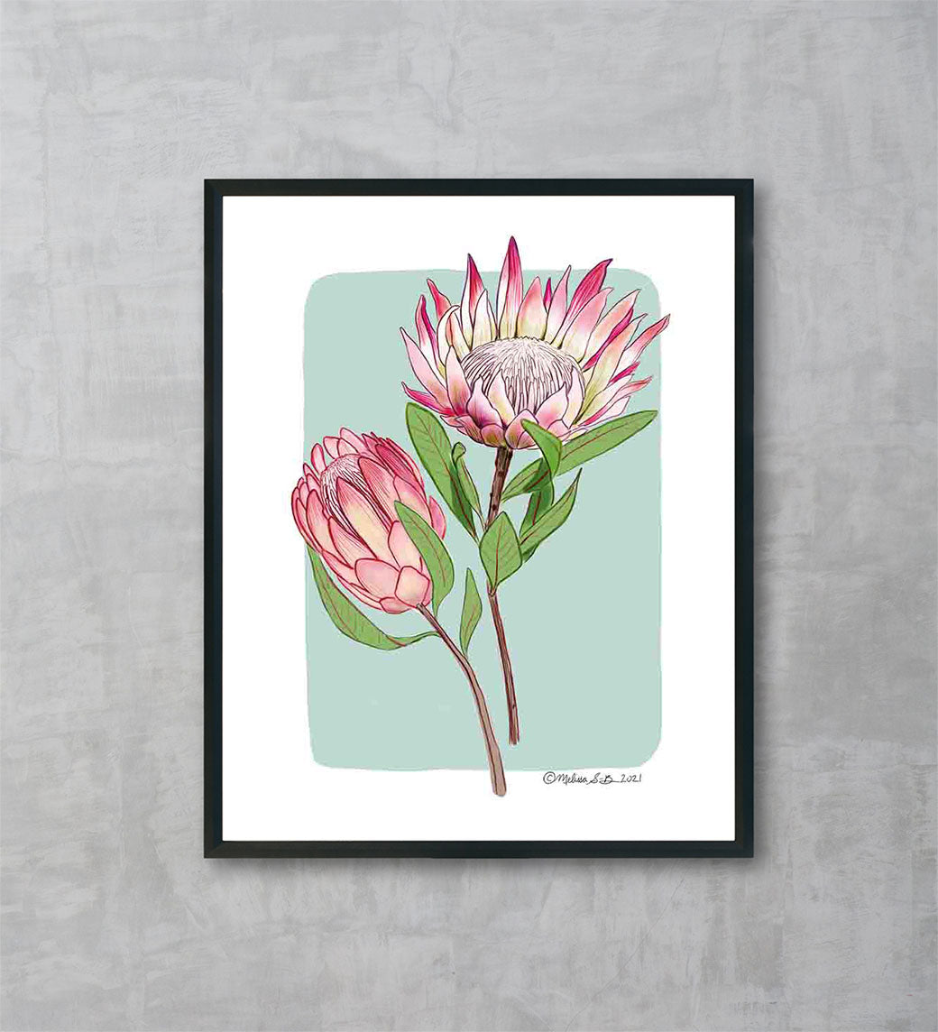 Protea Flower Fine Art Print – True North Creations