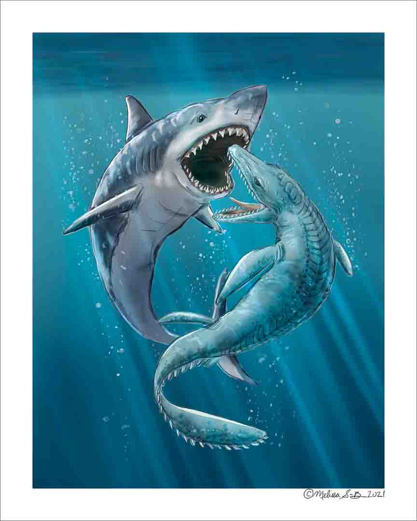 Megalodon vs Mosasaurus Fine Art Print – True North Creations